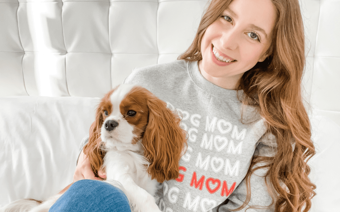 10 Ways To Spend Quality Time With Your Dog Henry The Smol