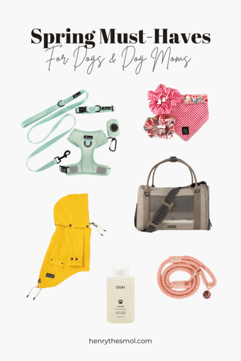 Spring Must-Haves For Stylish Dogs & Dog Moms - Henry The Smol